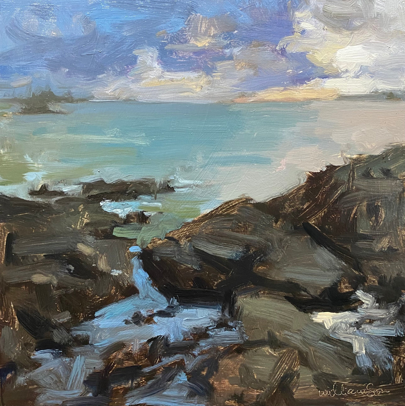 Mel Williamson | Salt Spring Island Artist
