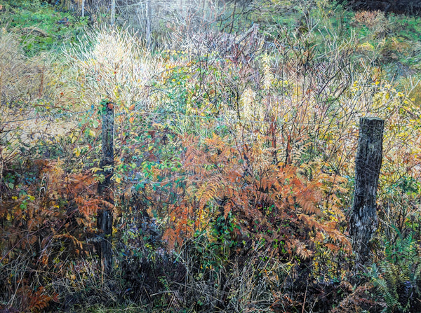 Garry Kaye | Salt Spring Island Artist at Steffich Fine Art