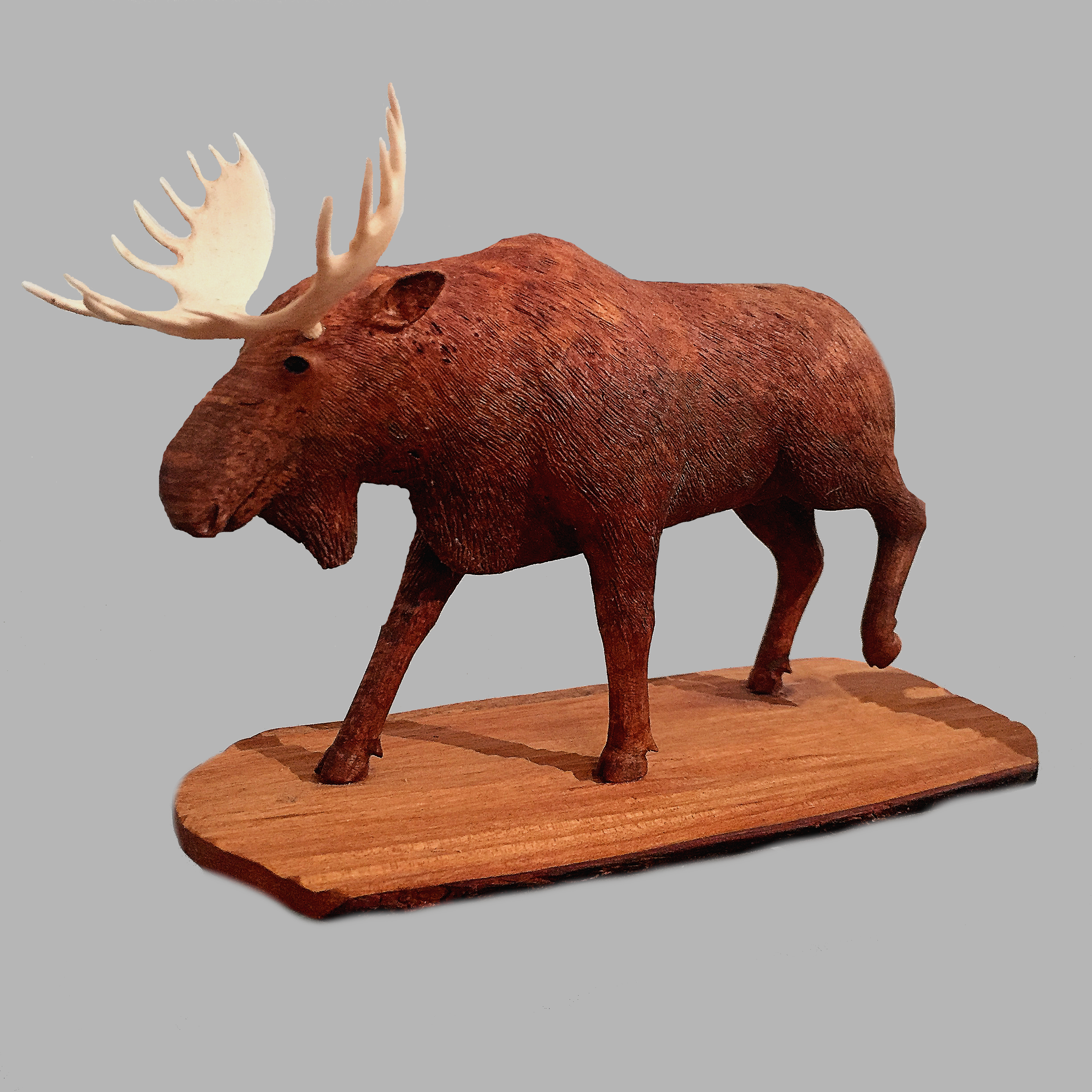 "Moose" by Artist Jim Dearing | Steffich Fine Art